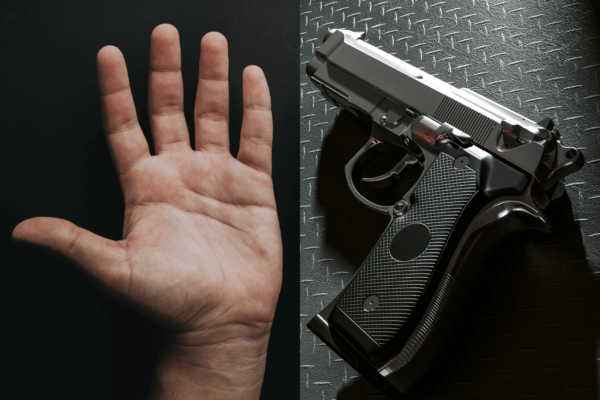 6 Best Guns for Left-Handed Shooters | Eagle Shows